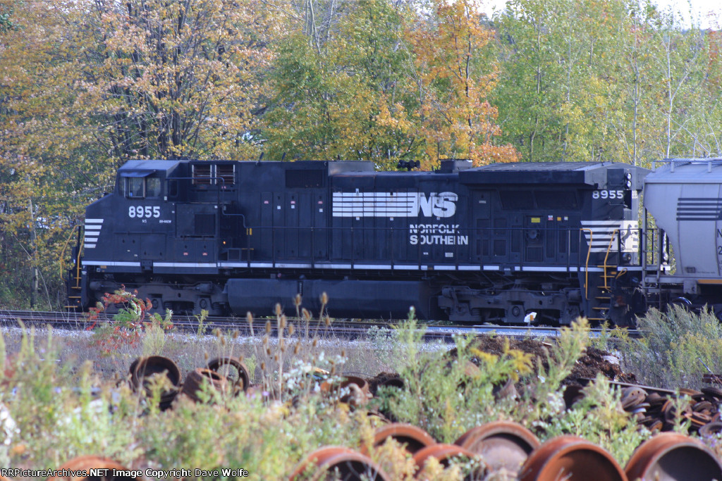 NS 8955